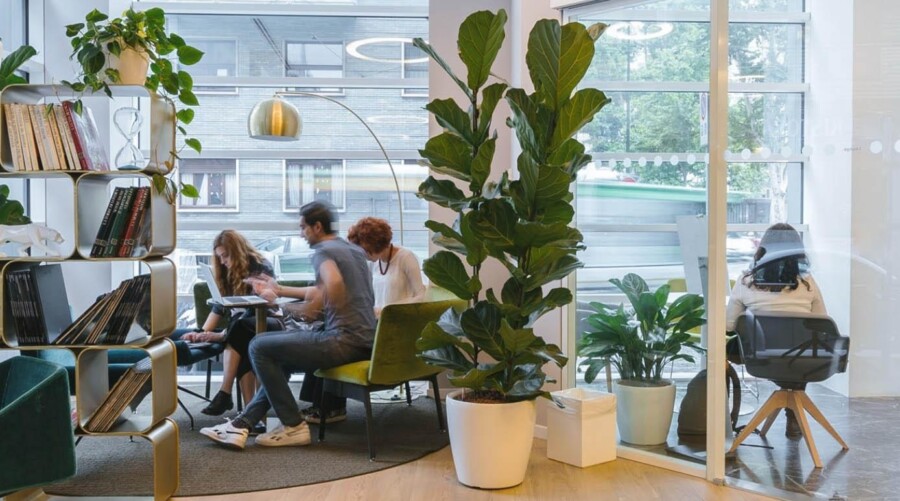 About Clear Estate: Estate Planning and Settlement Services